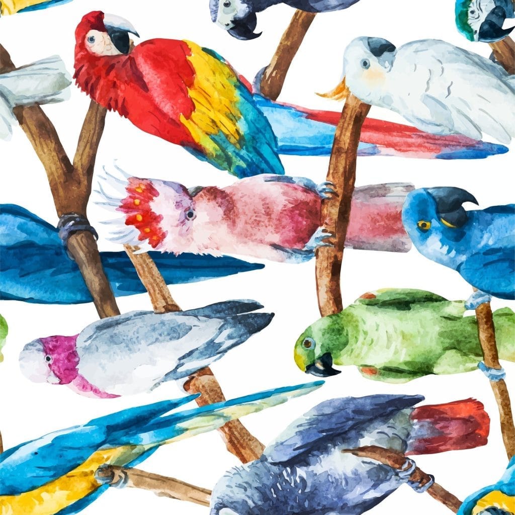 Belles & Whistles Reis Decoupage Paper Birds 3 Blatt à 30 x 30cm ...