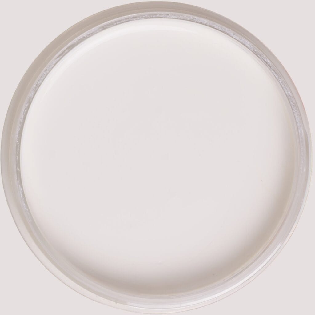 Dixie Belle Silk All In One Mineral Paint Elderflower - Elfen & Helden